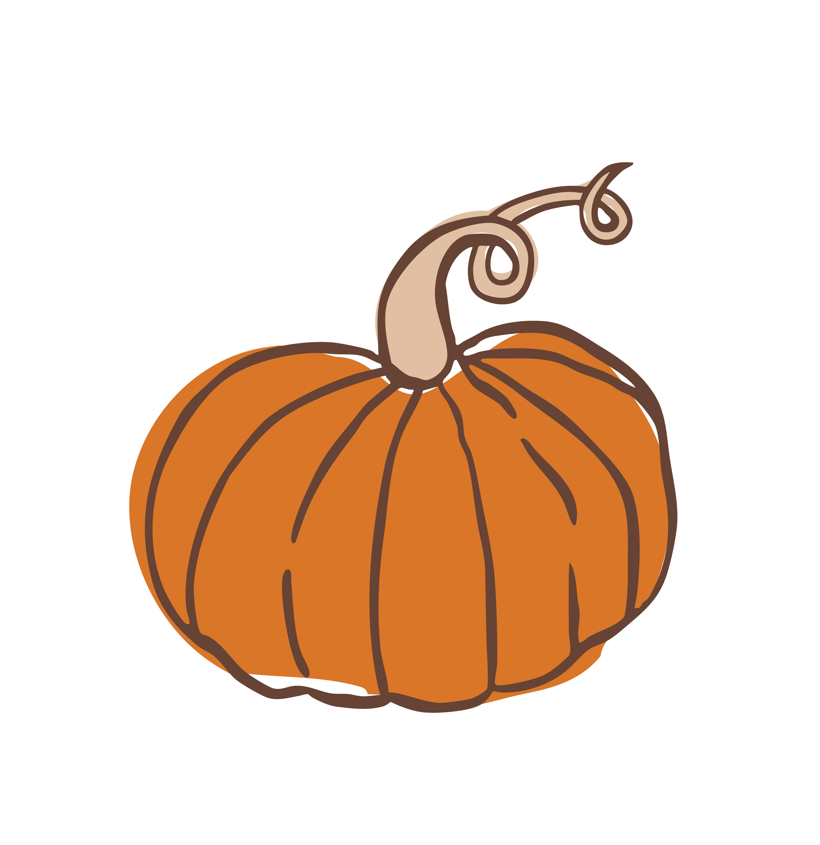 2025 Pumpkin Packages – Lake Norman Pumpkins